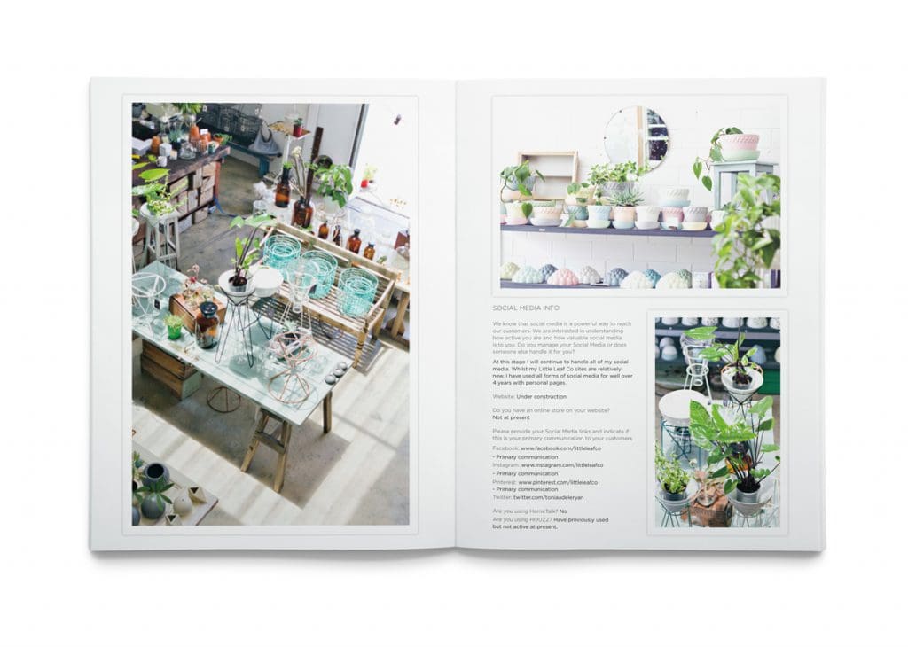 Little Leaf Co - SML Design - Brand Building Design Agency