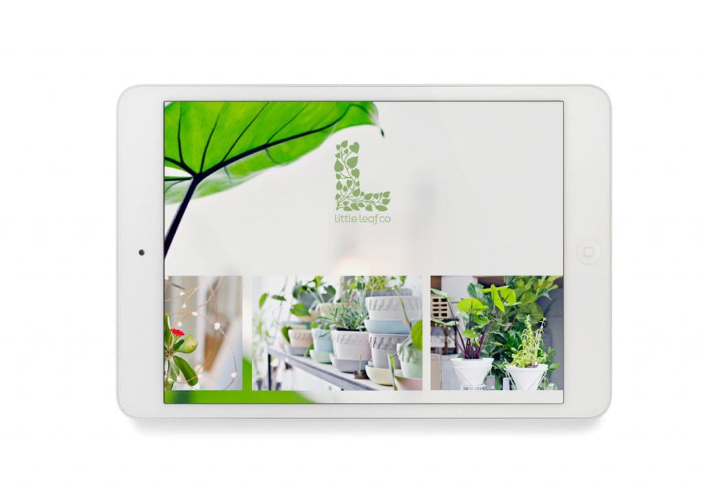 Little Leaf Co - SML Design - Brand Building Design Agency